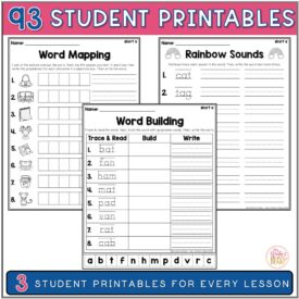 1st Grade Word Study Assessments & Word Lists BUNDLE - editable ...