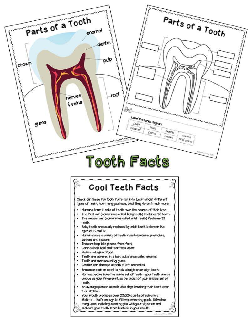 Lost Tooth - Lead in Literacy - Resources For Kindergarten, 1st & 2nd Grade