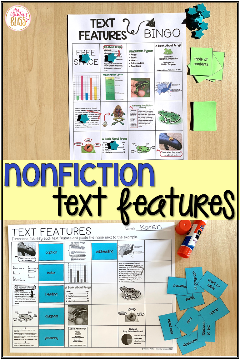 Fiction and Nonfiction Activities Bundle - Lead in Literacy - Resources ...
