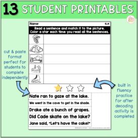 Phonics Center - Long Vowel Phonics Sentences - Lead in Literacy ...