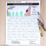 How to Teach Informative Writing - Lead in Literacy - Resources For ...