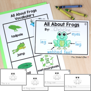 How to Teach Informative Writing - Lead in Literacy - Resources For ...