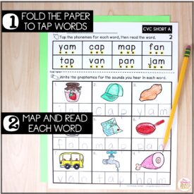 Word Mapping CVC Short Vowel Worksheets - Connecting Phonemes to ...