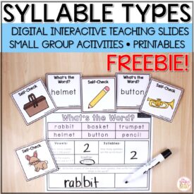 Why Should I Teach the 6 Syllable Types? - Lead in Literacy - Resources ...