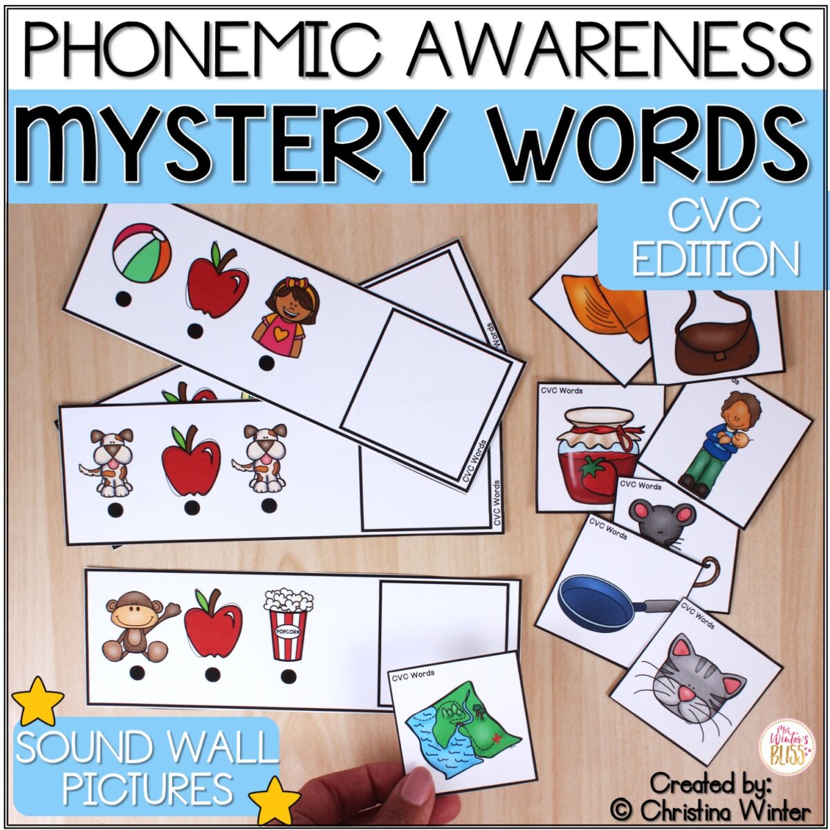Mystery Words - Phonemic Awareness Games - CVC - Lead in Literacy ...
