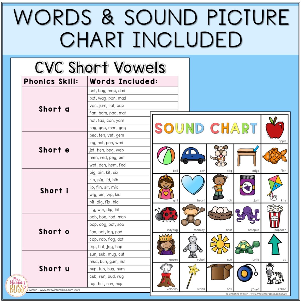 Mystery Words - Phonemic Awareness Games - CVC - Lead in Literacy ...