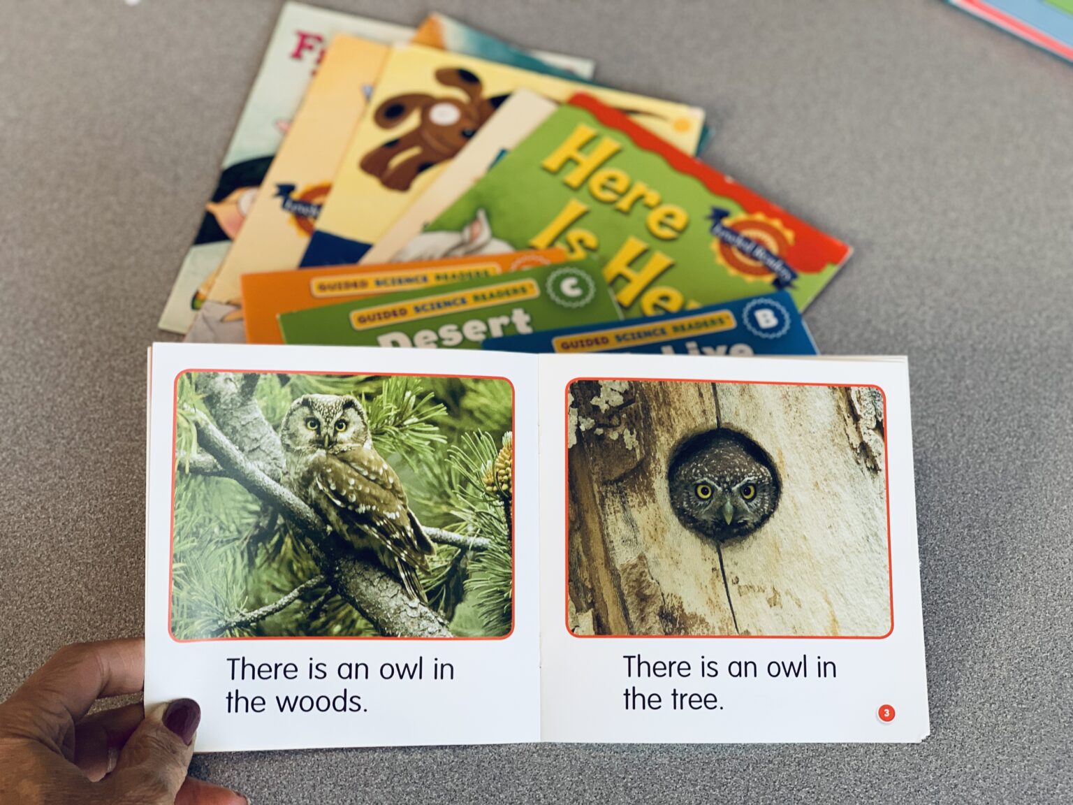 Decodable Texts vs. Leveled Readers - Lead in Literacy - Resources For ...