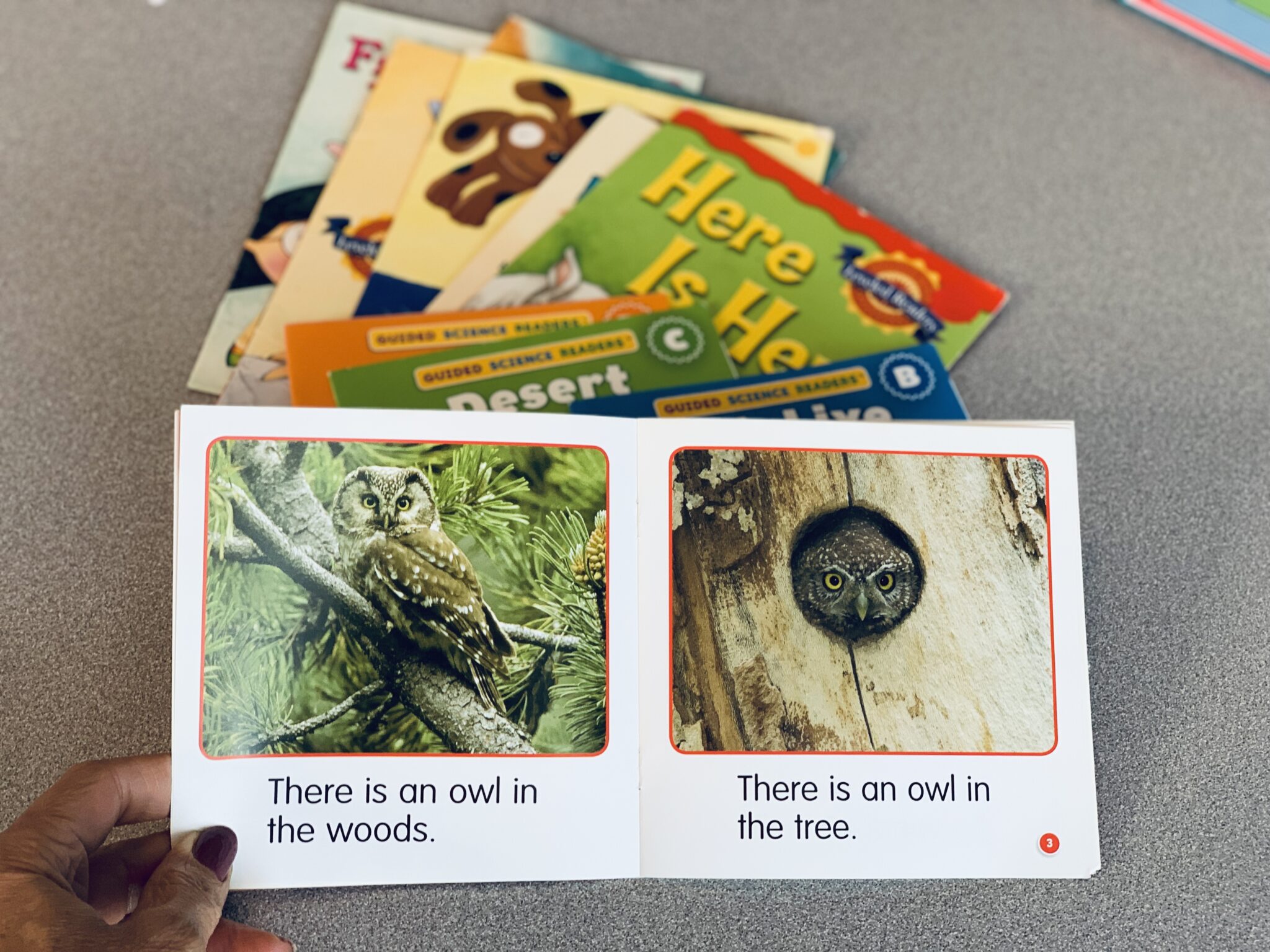 Decodable Texts vs. Leveled Readers - Lead in Literacy - Resources For ...