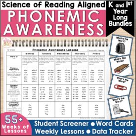 Kindergarten & 1st Grade Phonemic Awareness Yearlong Curriculum ...
