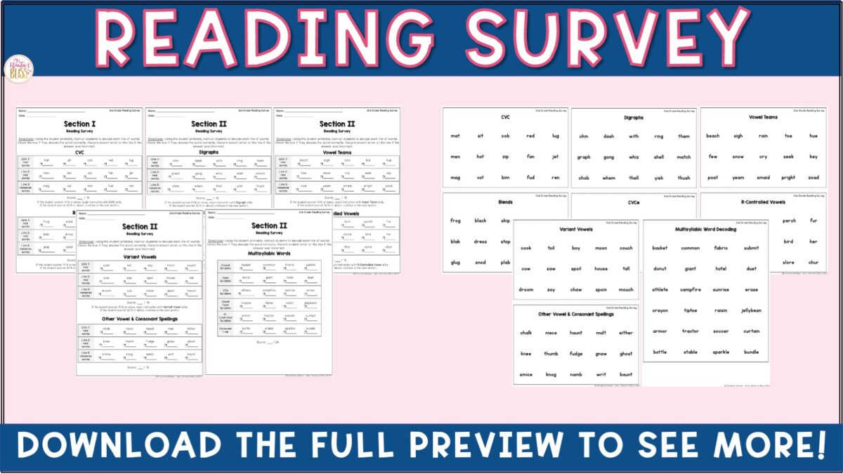 2nd Grade Phonics Screeners - Spelling Reading Assessments - Lead in ...