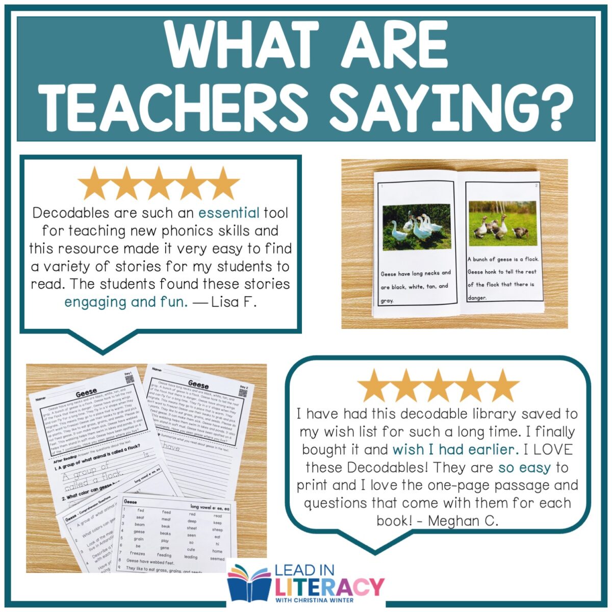 Nonfiction Decodable Books CVCe & Vowel Teams - Teacher Lesson Plans ...