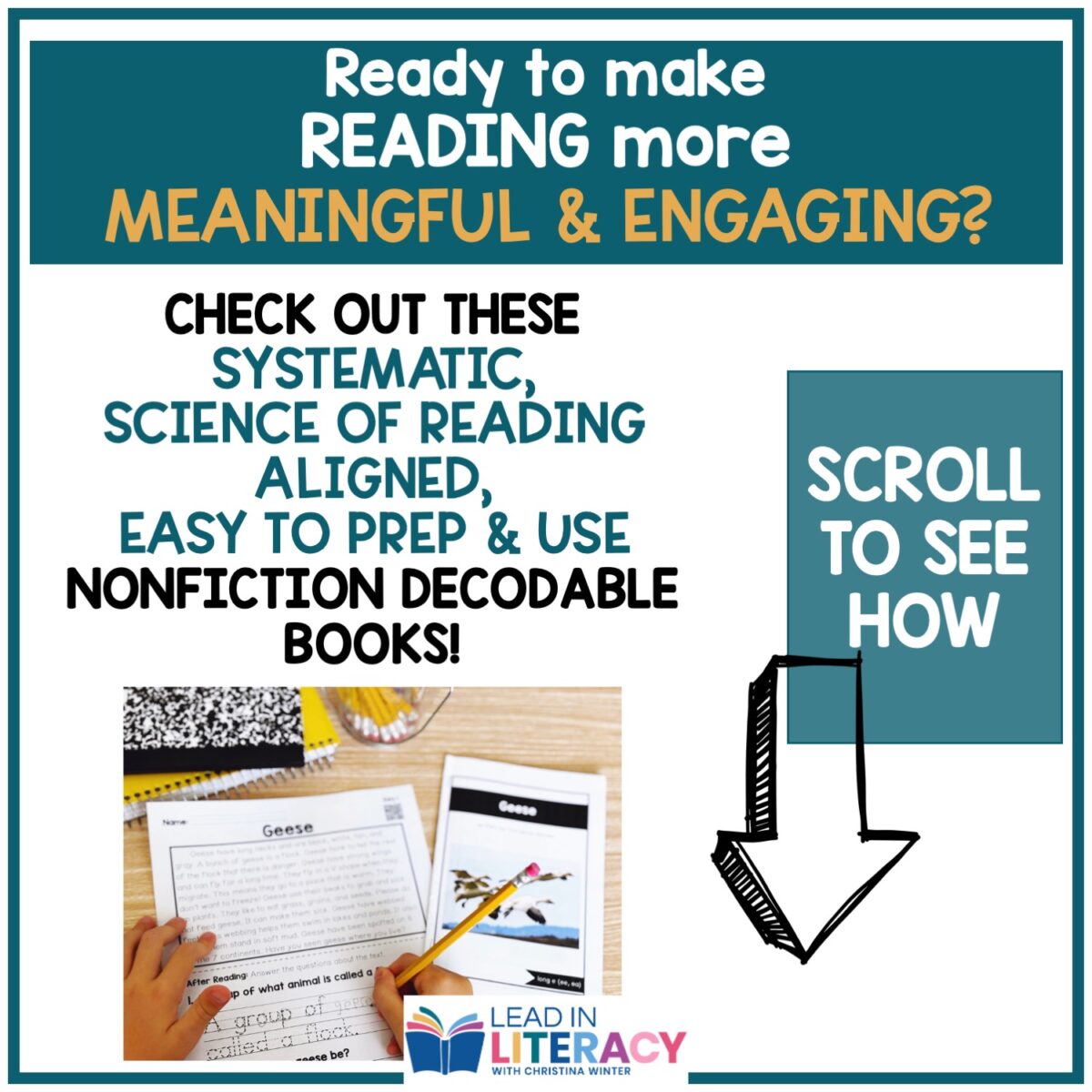 Nonfiction Decodable Books CVCe & Vowel Teams - Teacher Lesson Plans ...