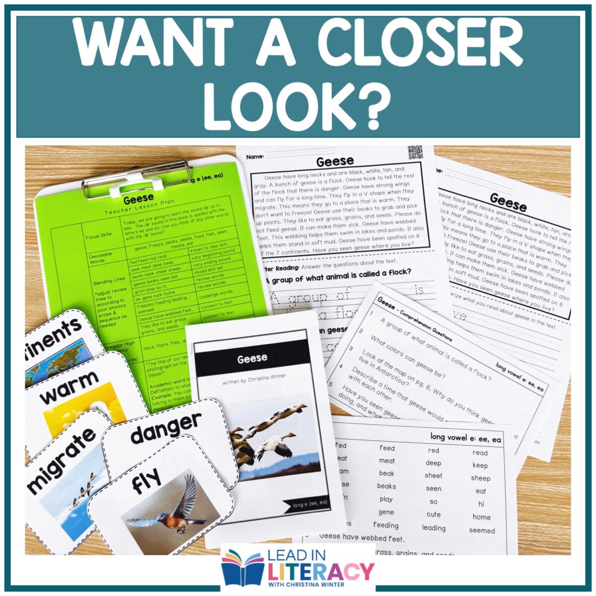 Nonfiction Decodable Books CVCe & Vowel Teams - Teacher Lesson Plans ...