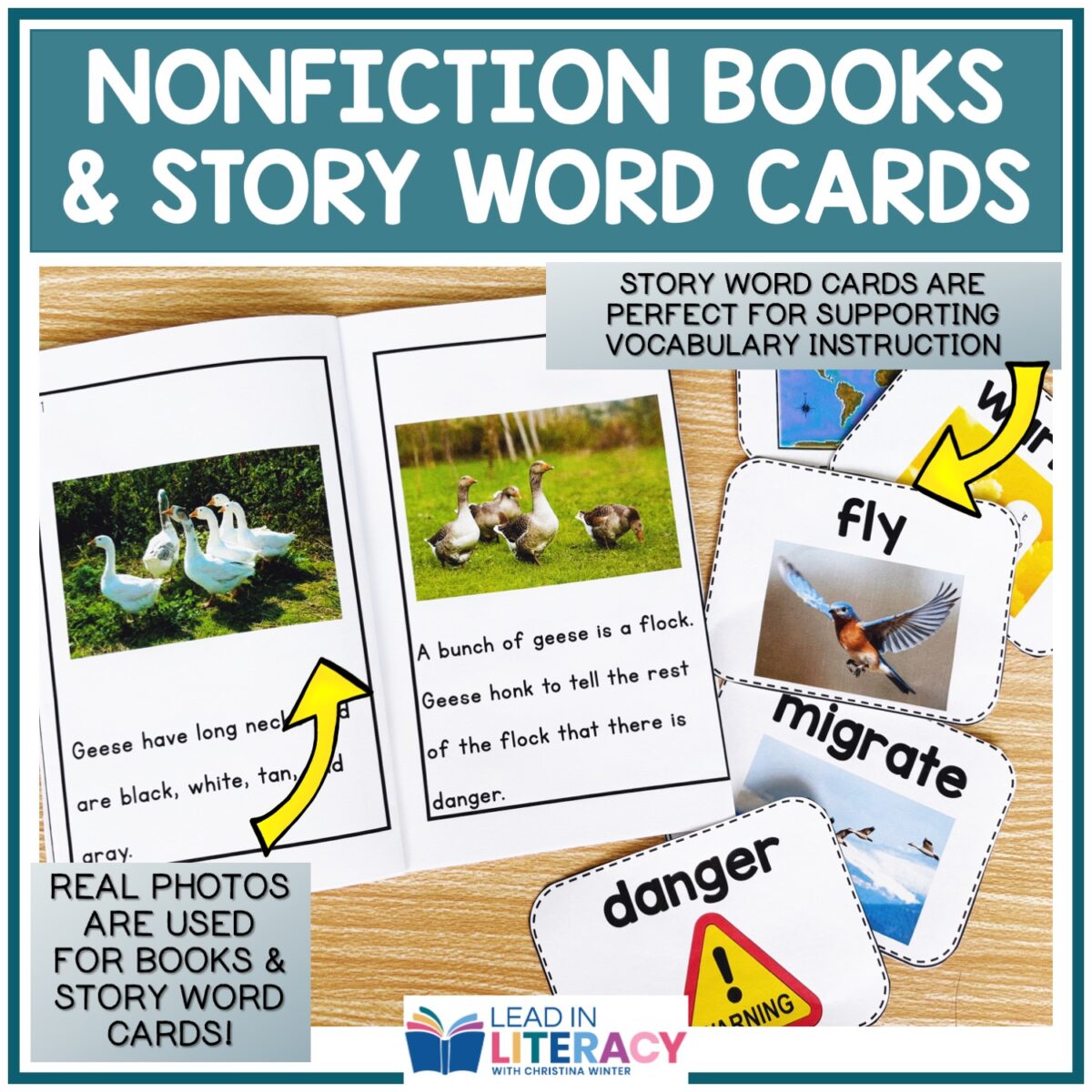 Nonfiction Decodable Books CVCe & Vowel Teams - Teacher Lesson Plans ...