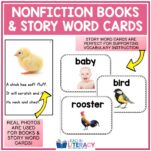 FREE Nonfiction Decodable Books - Teacher Lesson Plans, Comprehension ...