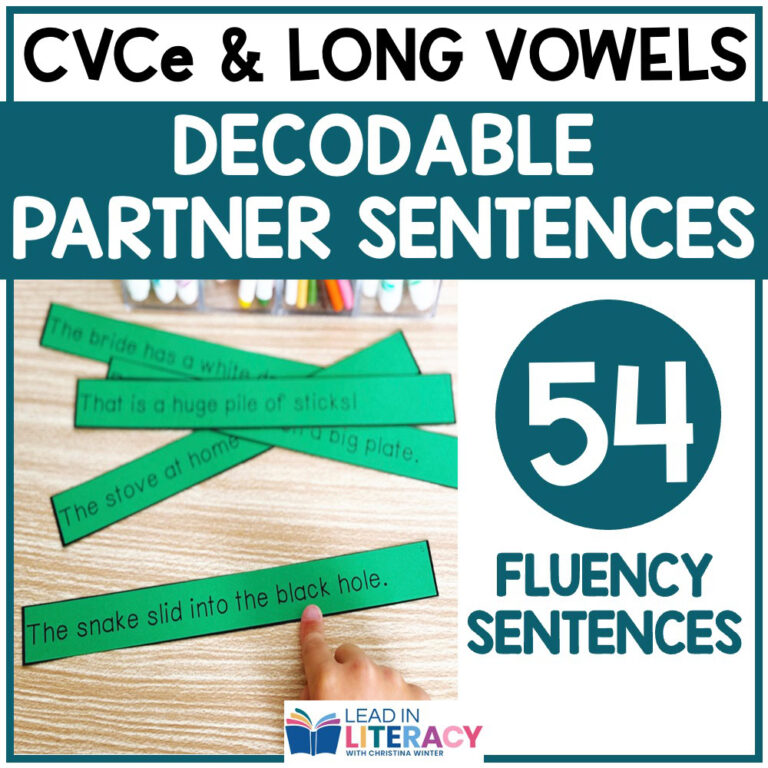 Long Vowel Activities For Beginning Readers - Lead in Literacy ...