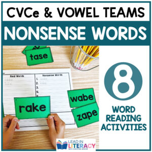 Long Vowel Activities For Beginning Readers - Lead in Literacy ...